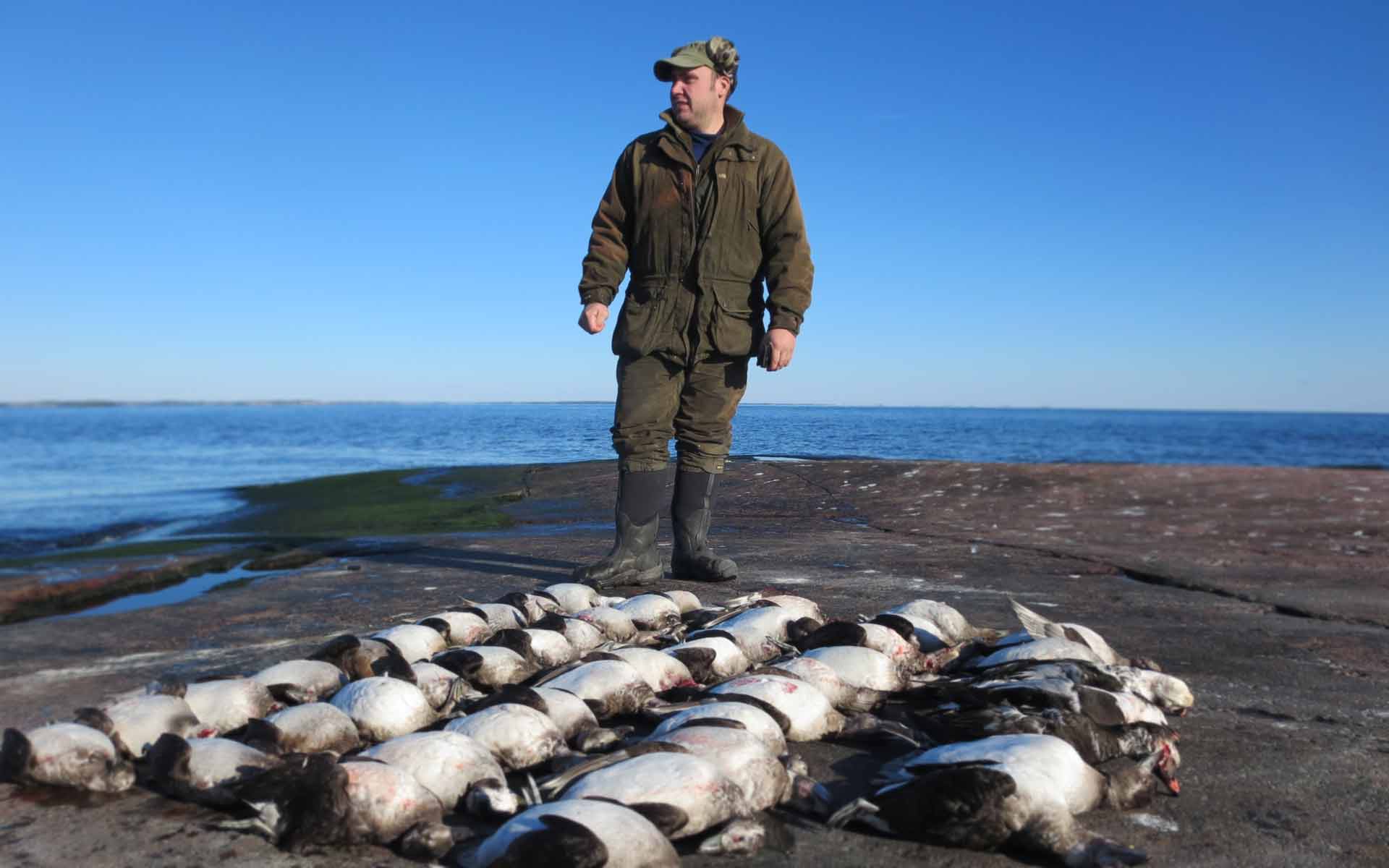SEA BIRDS– Offshore hunting in unique environment