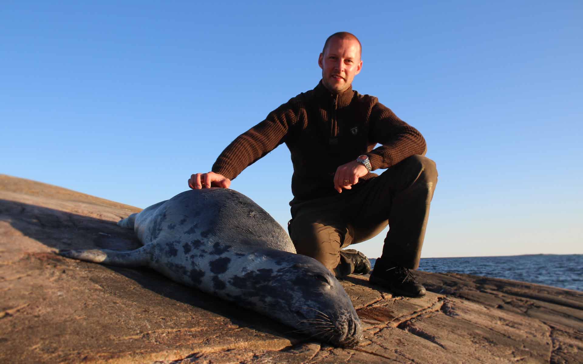 Seal– Experience the excitement of seal hunting